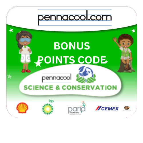 pennacool Bonus Stickers